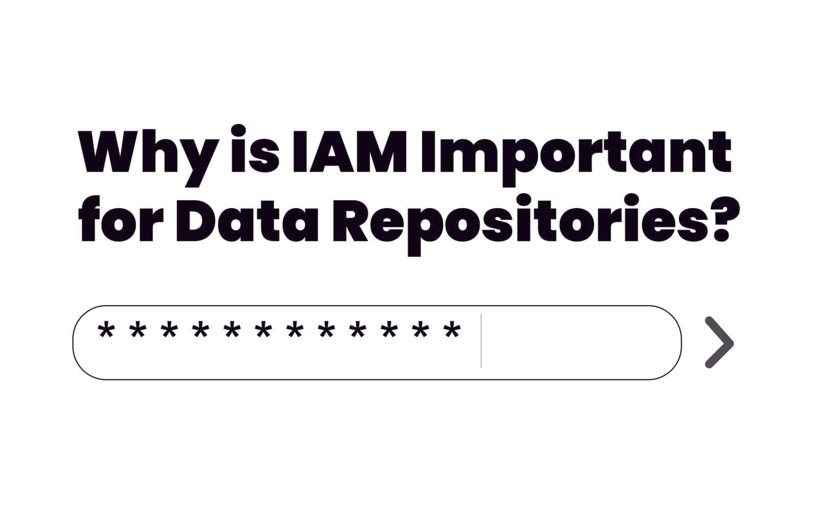 Why is Identity and Access Management (IAM) Important for Data ...